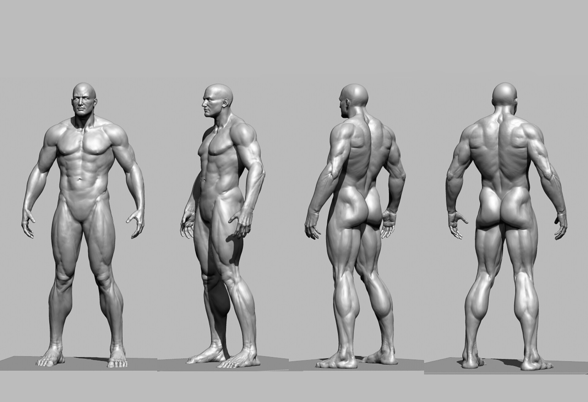 ArtStation - Human anatomy study