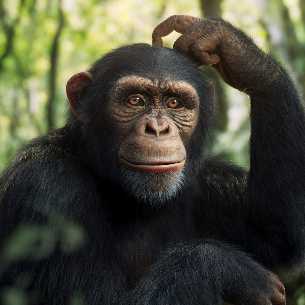 ArtStation - Chimpanzee Animated