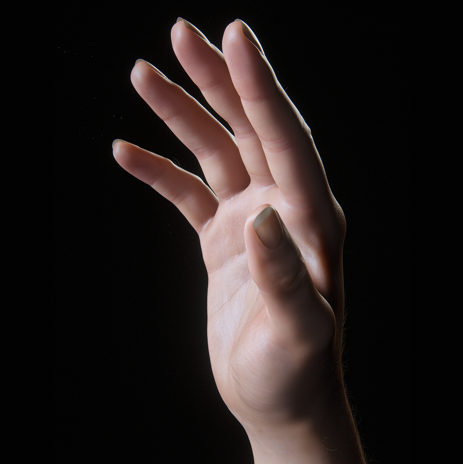 ArtStation - Hand Study