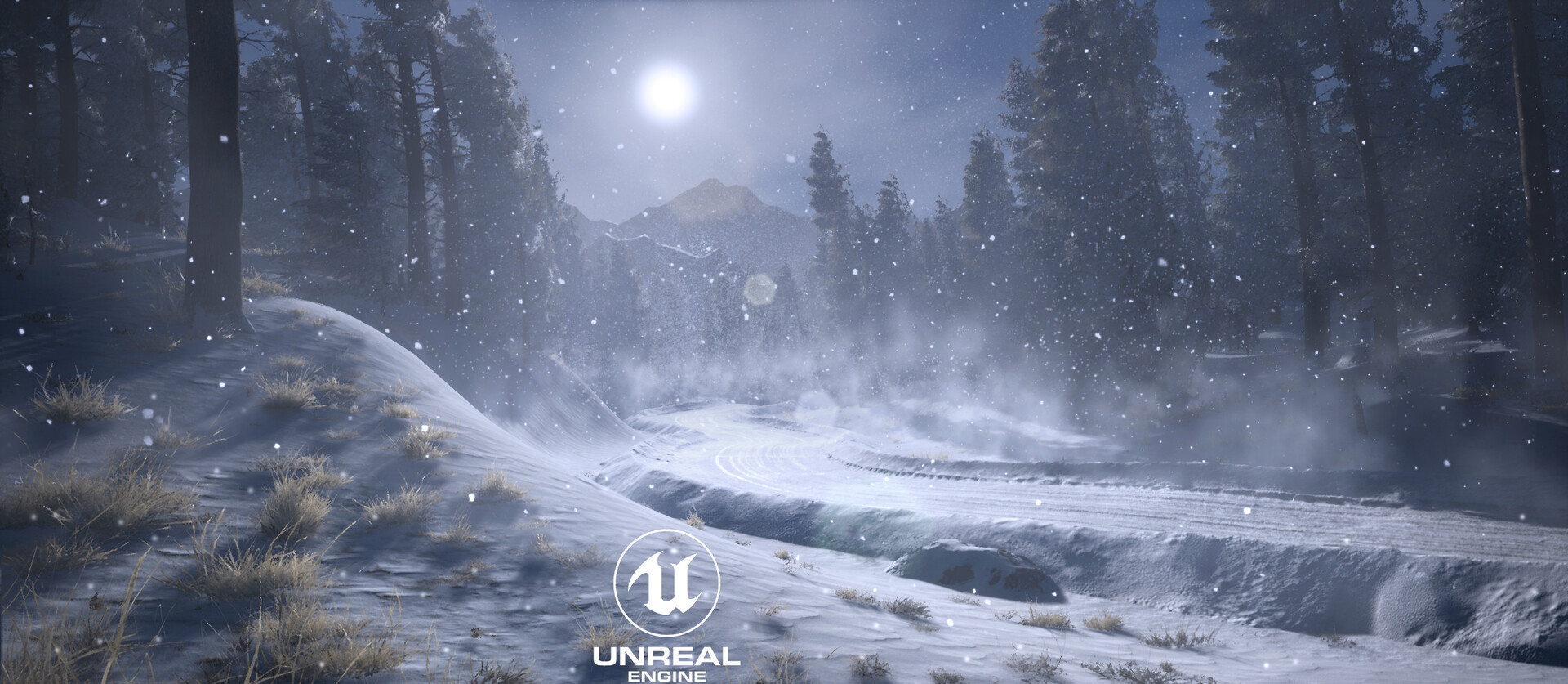 ArtStation - Blizzard In A Forest - UE4