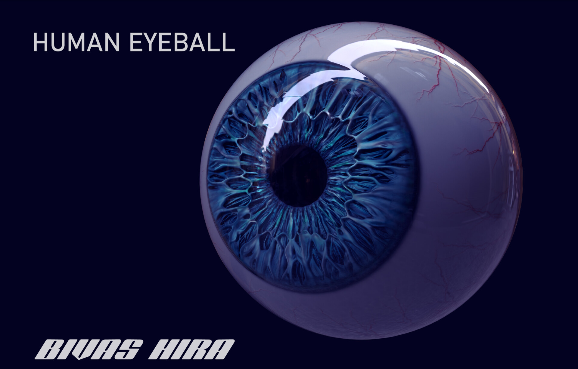 ArtStation - Human eyeball