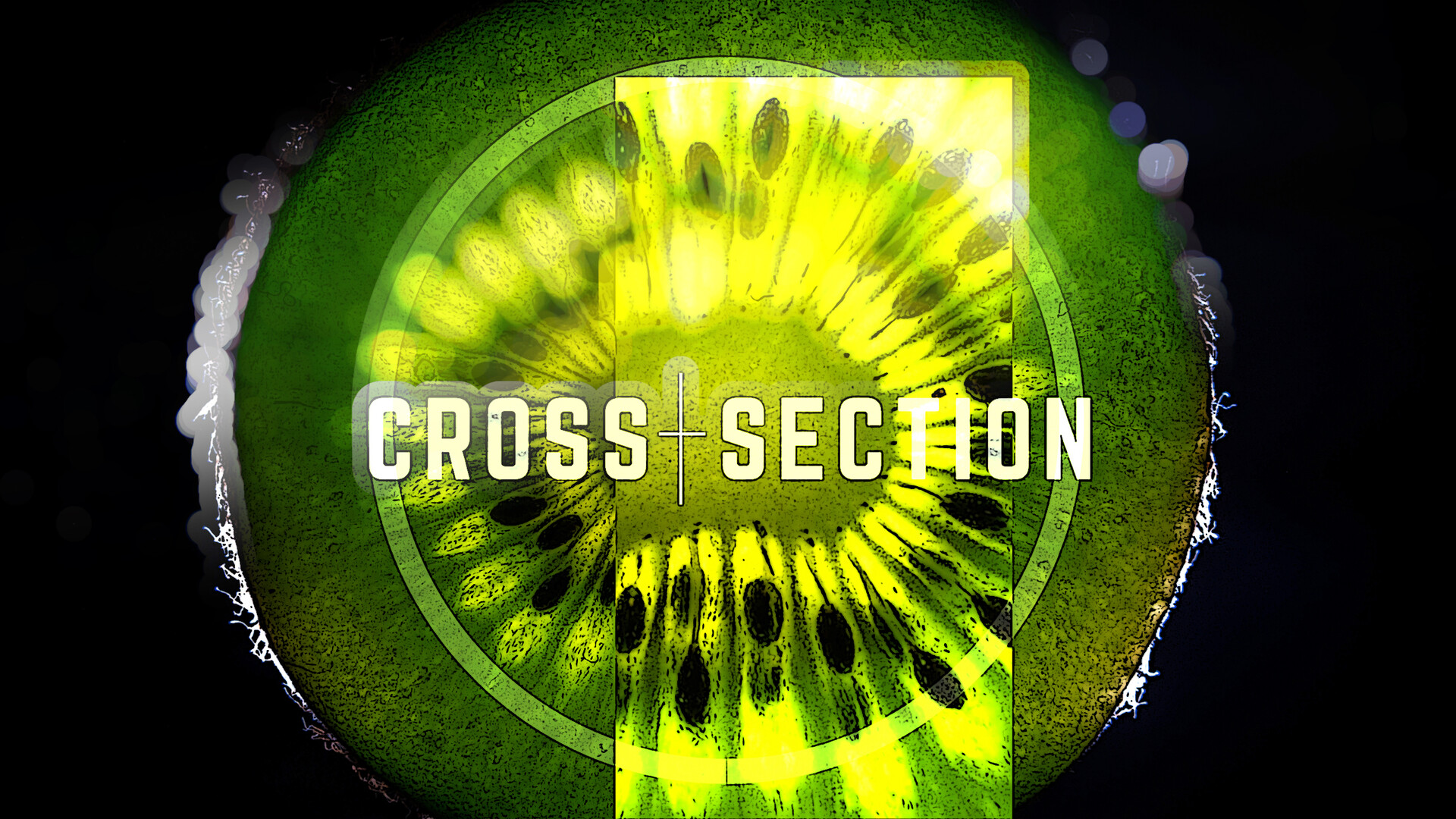 ArtStation - CROSS SECTION