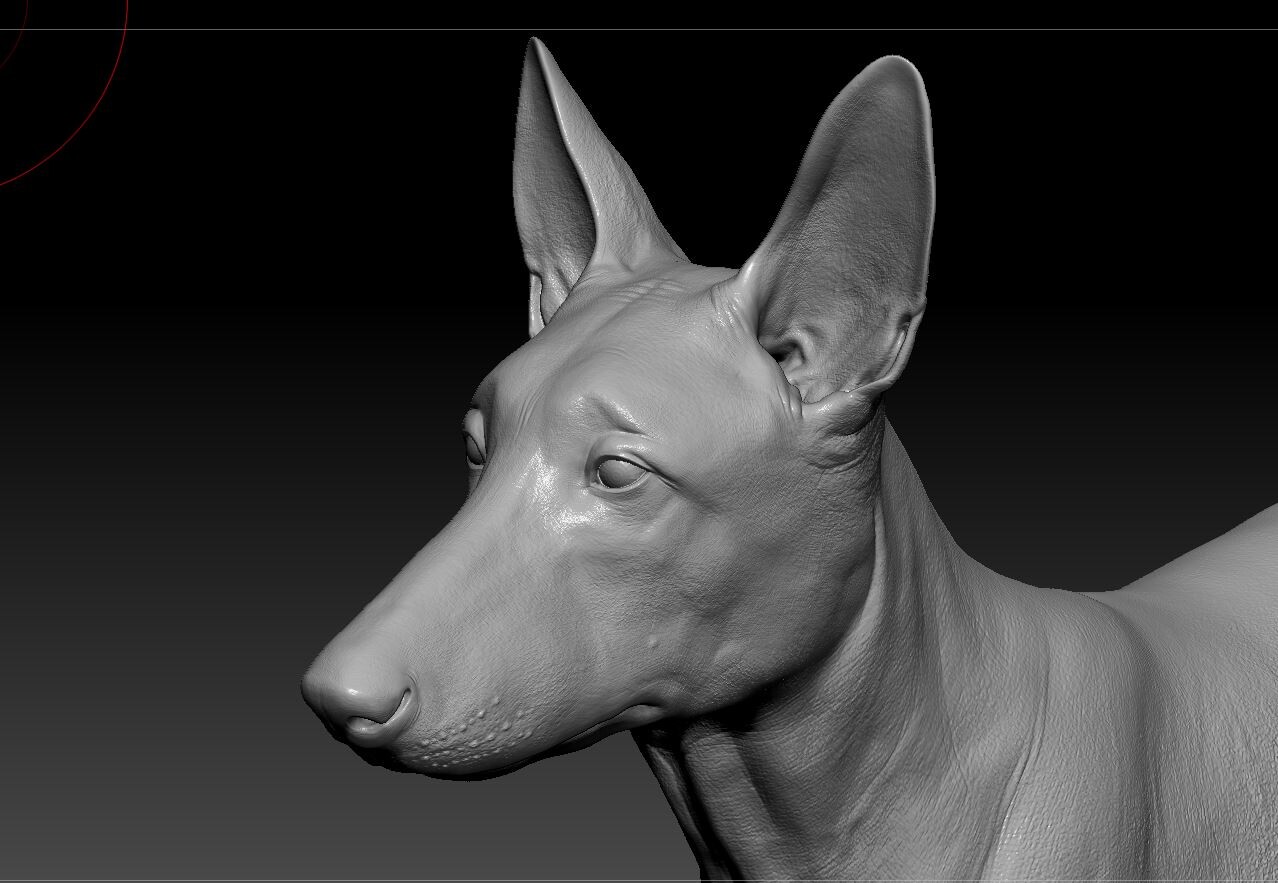 ArtStation - jarman safed dog sculpting