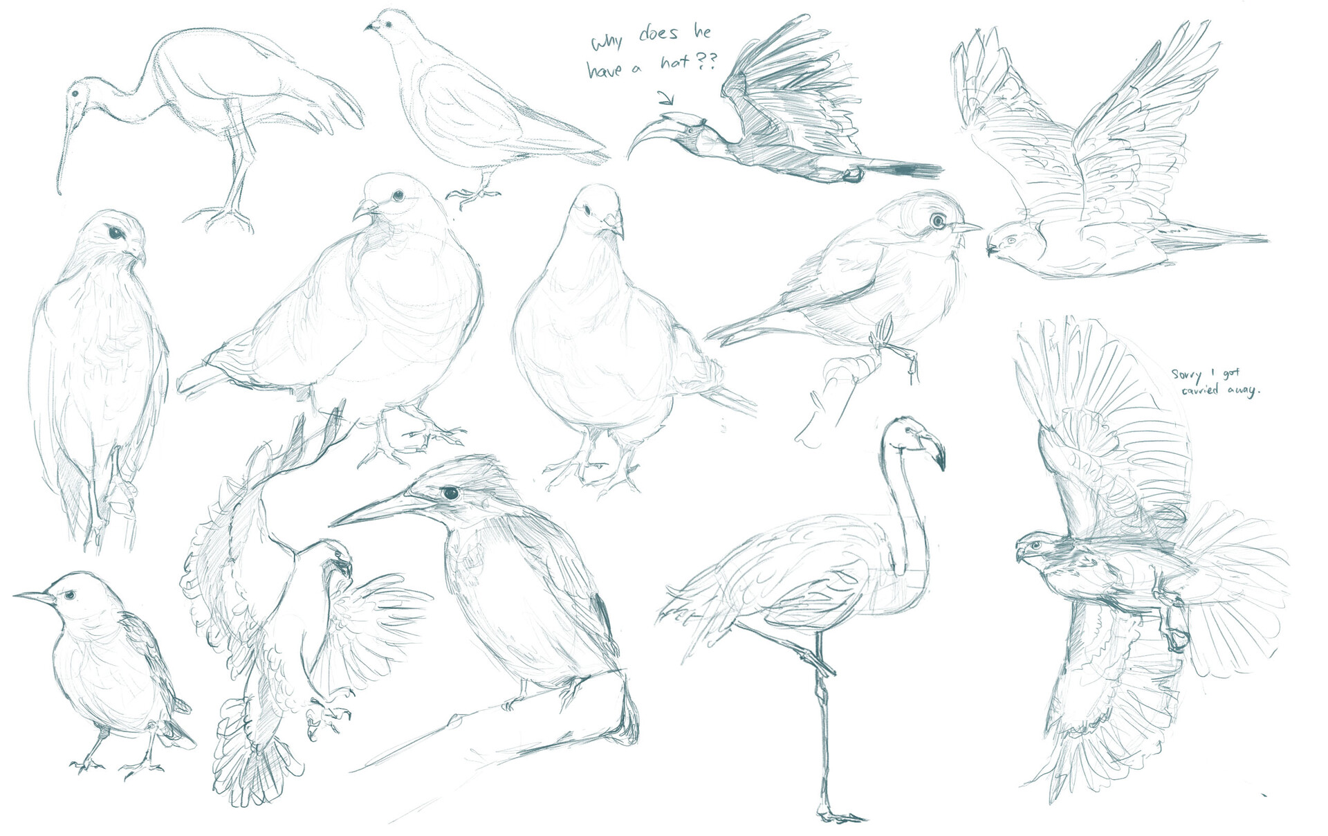 ArtStation - Animal Gesture Drawings