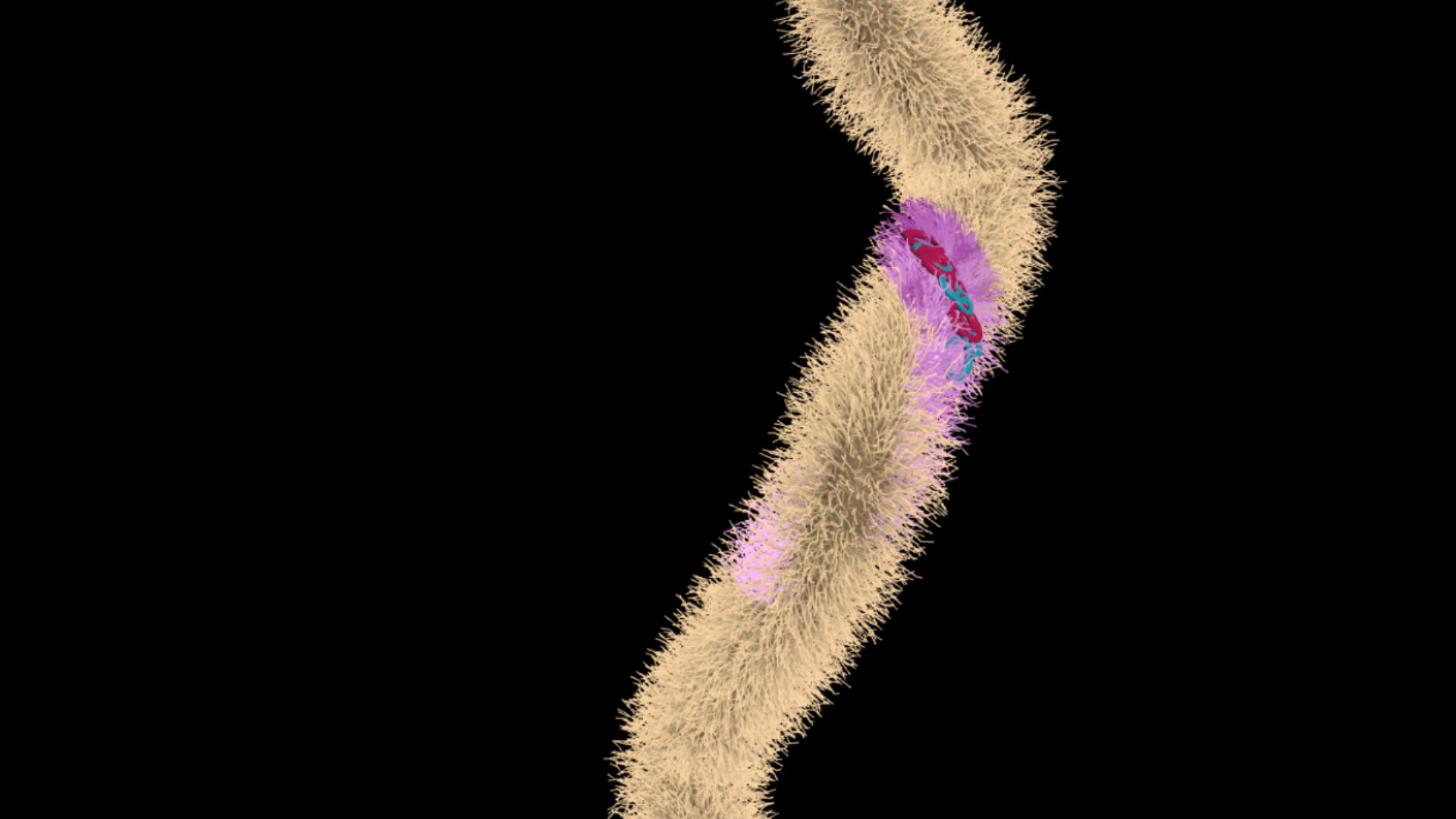 ArtStation - Houdini Hair Simulation