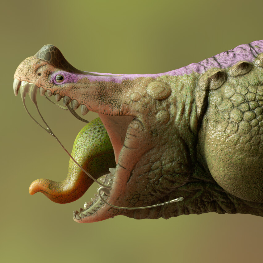 ArtStation - Creatures Study