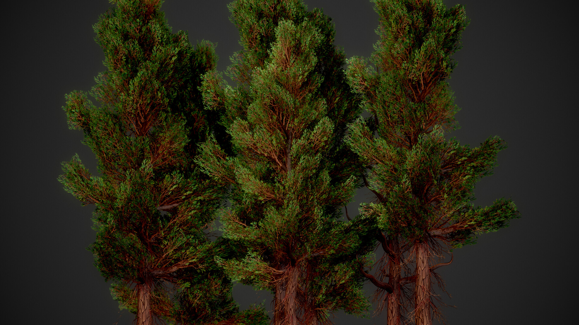 ArtStation - Stylized Pine Trees