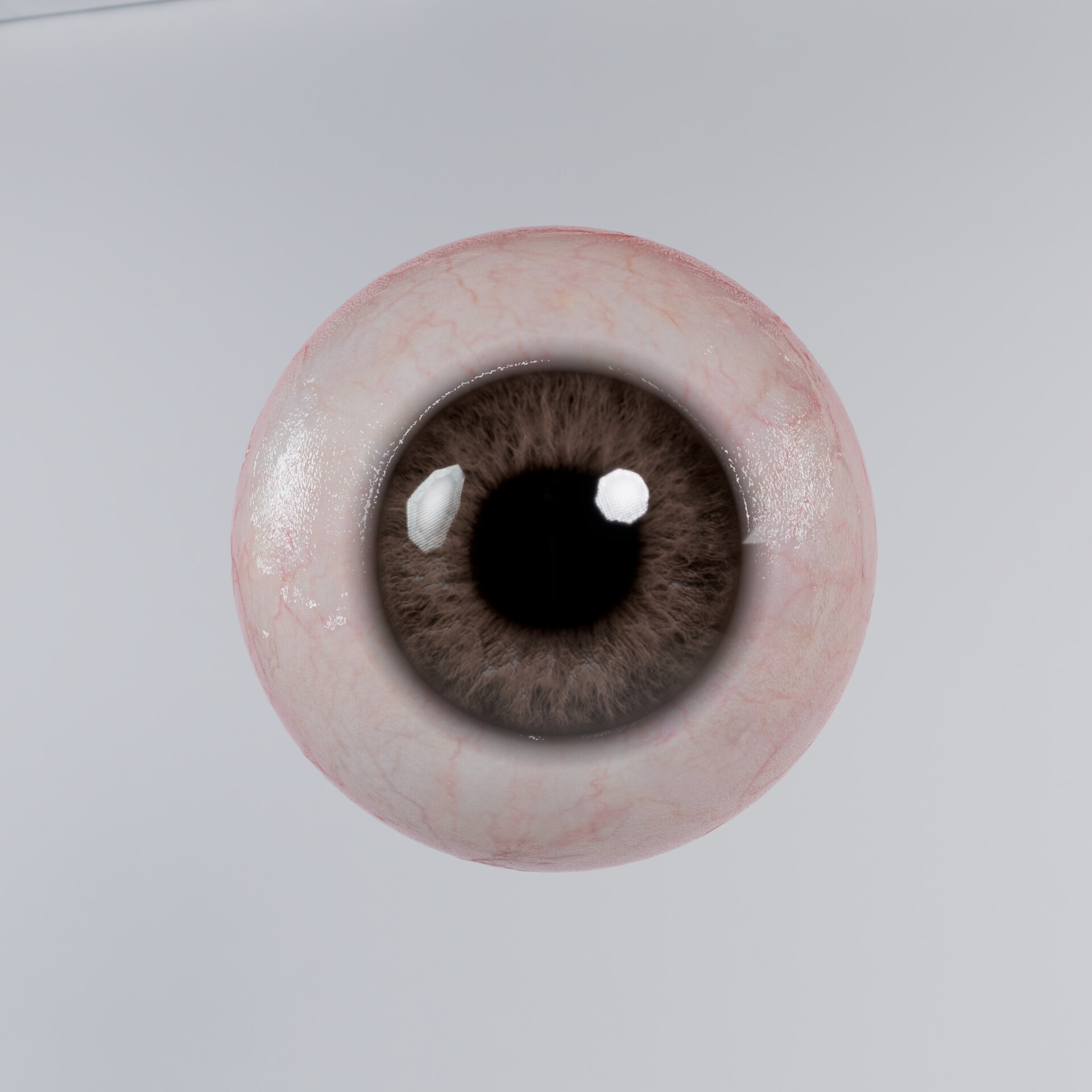 ArtStation - Human Eye