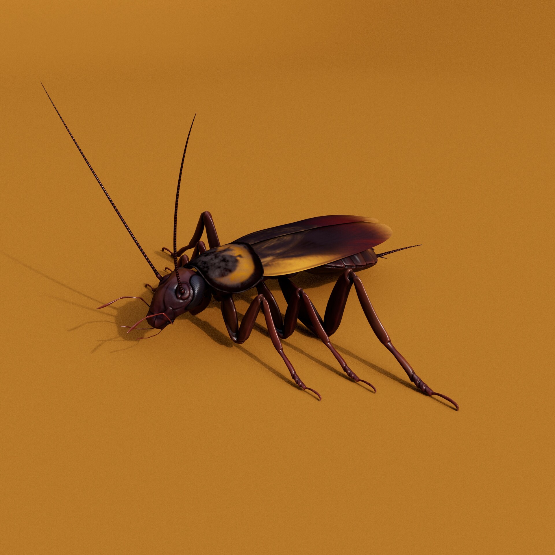 ArtStation - The Cockroach