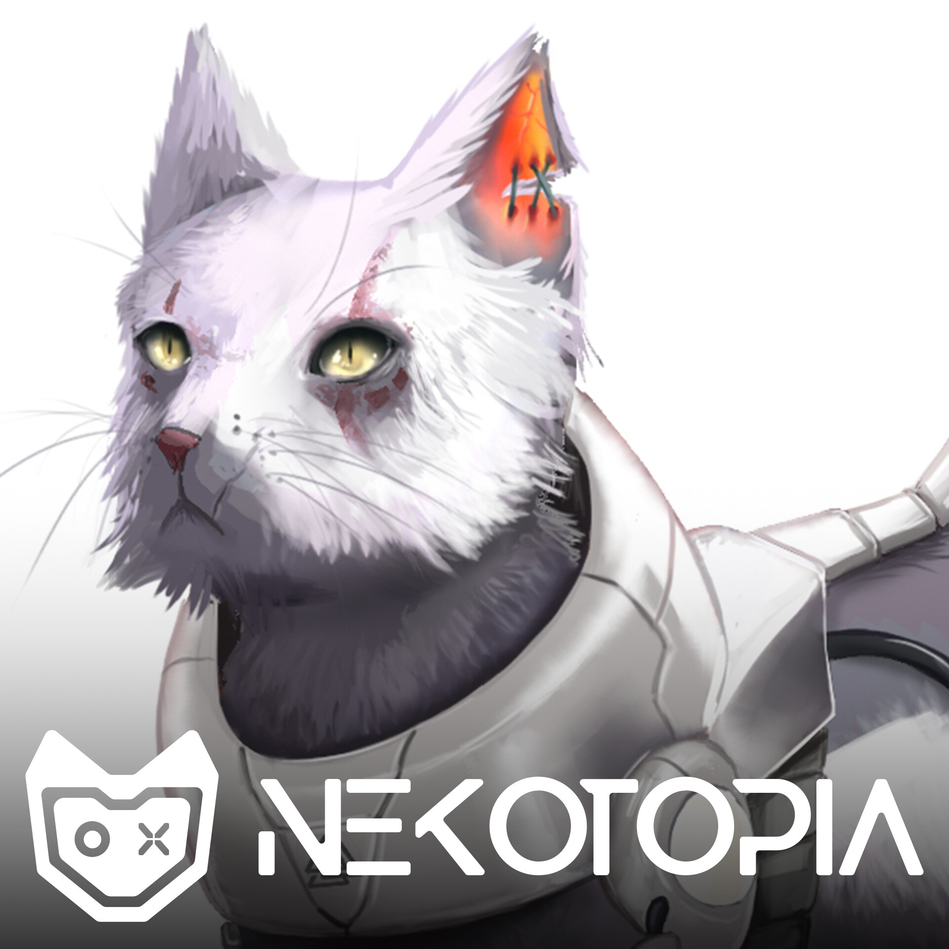 ArtStation - Thor cat - Nekotopia