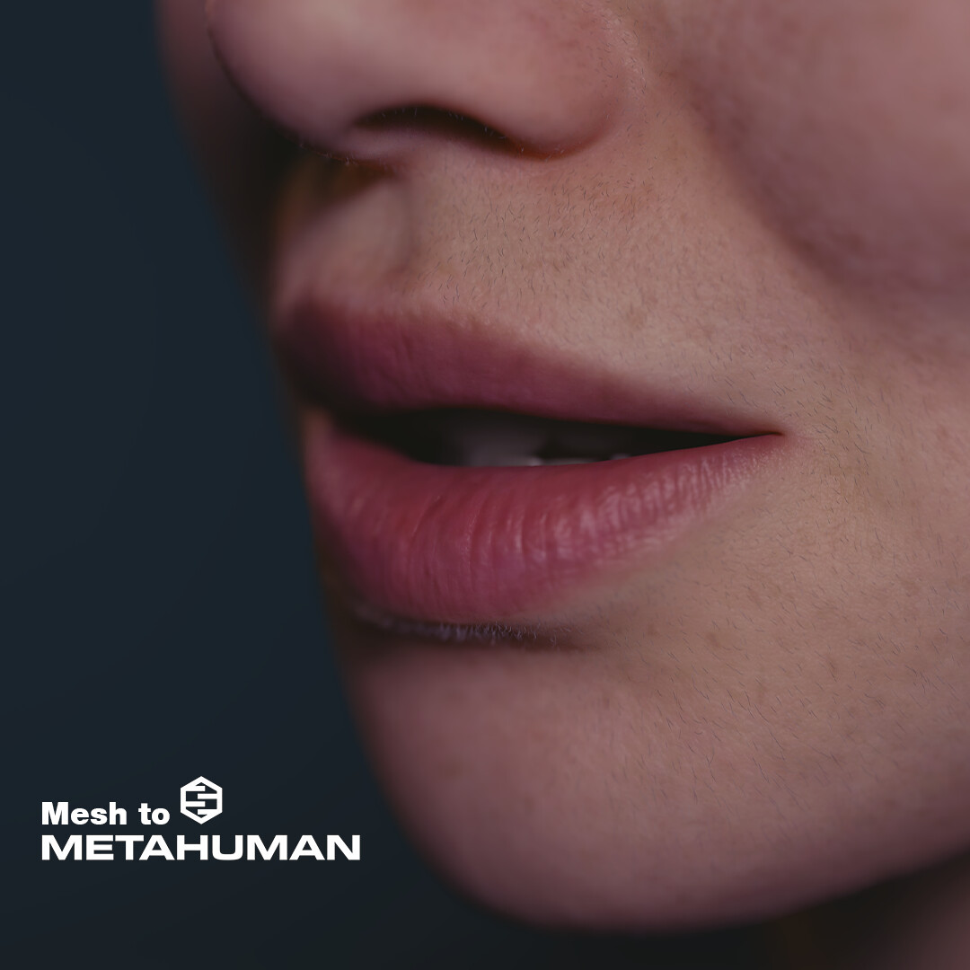 ArtStation - Mesh to MetaHuman