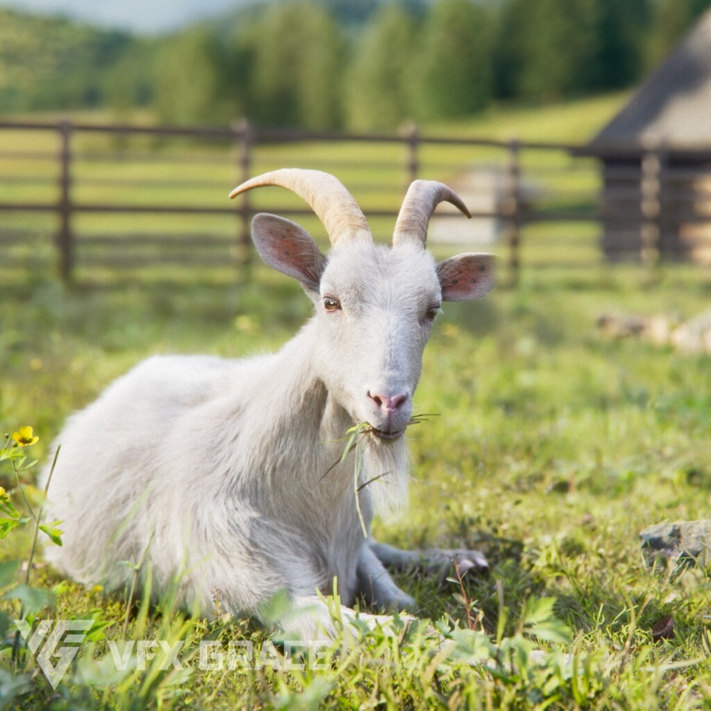 ArtStation - Goat 01 Animated