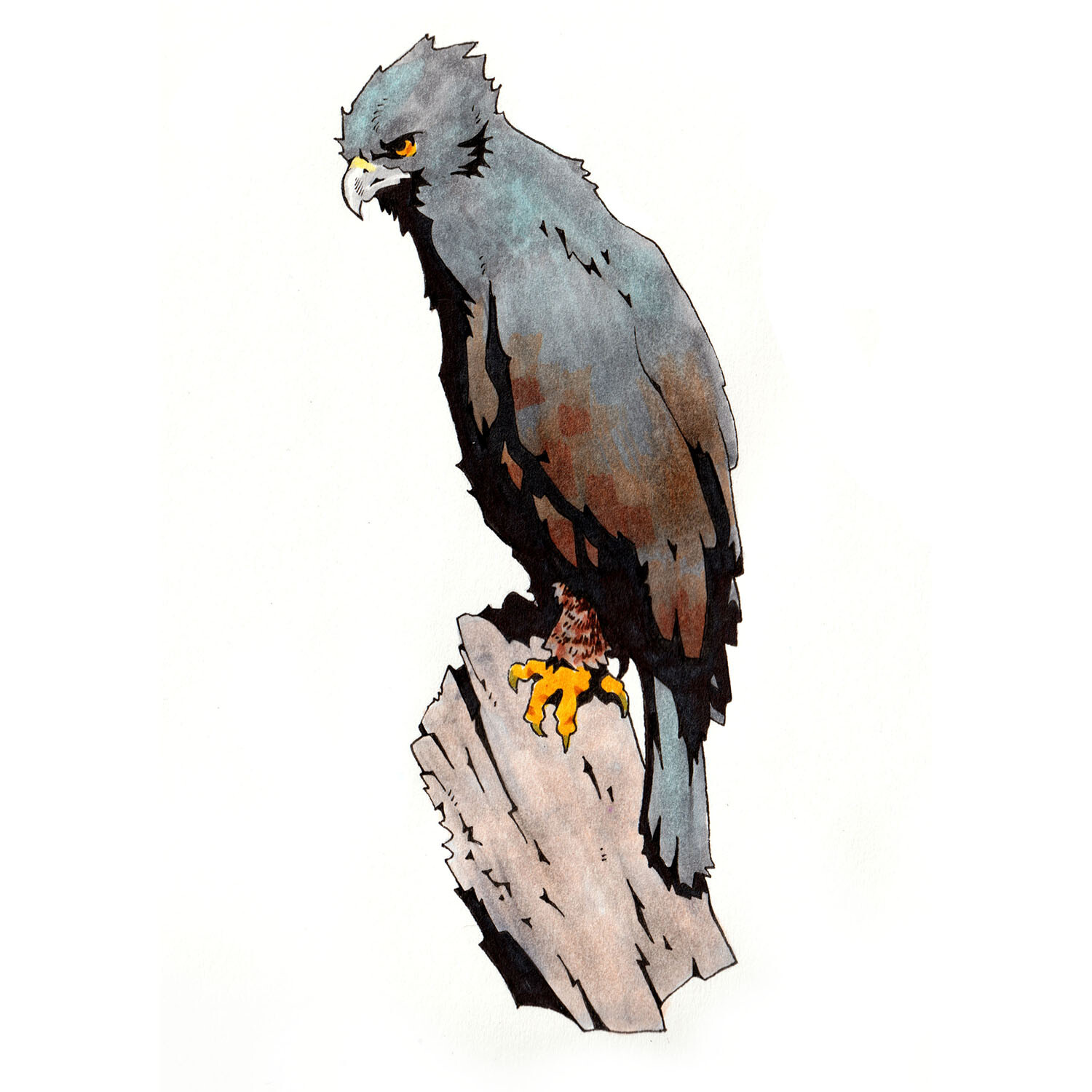 ArtStation - Birds January 2023