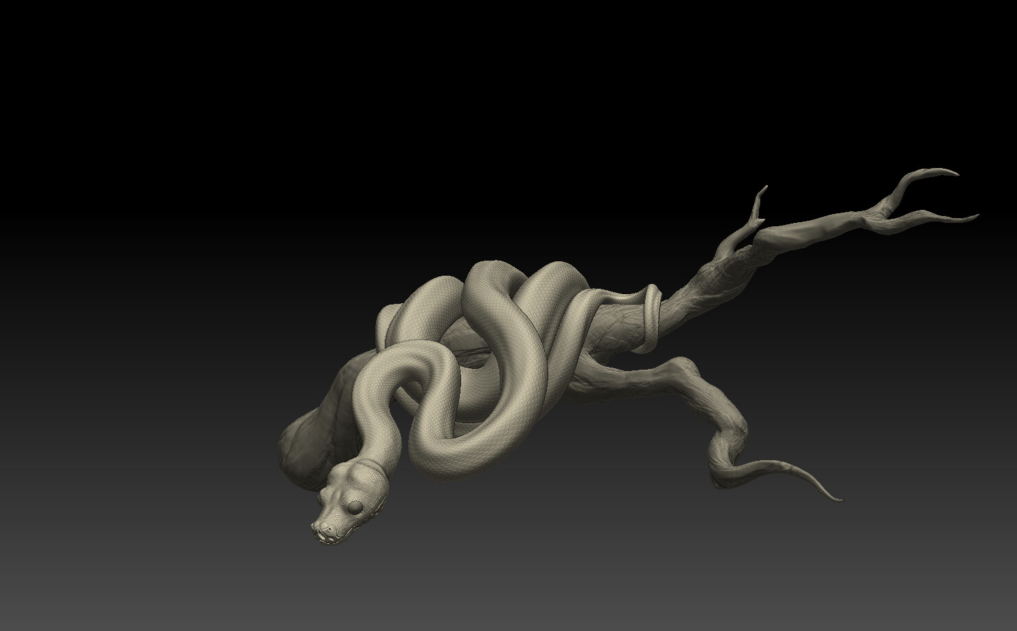 ArtStation - Snake Sculpt ( Zbrush )