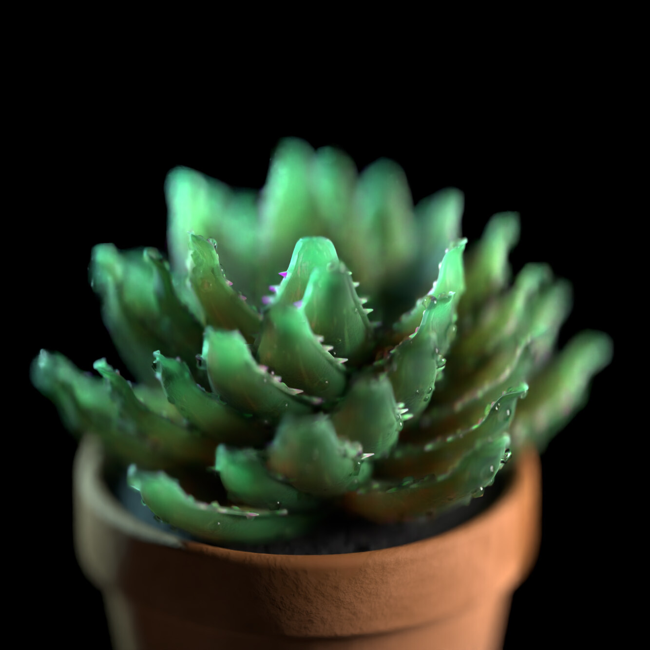 ArtStation - Phyllotactic Strangeness