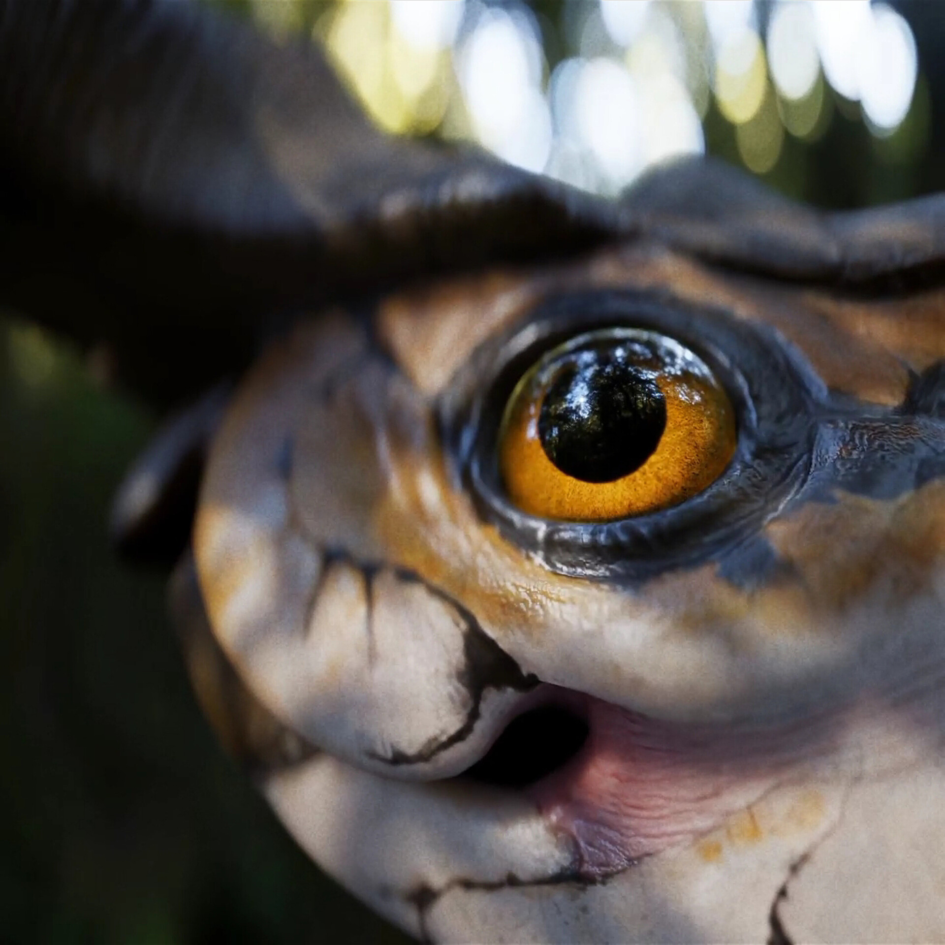 ArtStation - Alien Rodent Close Up Face and Eye Animation Render