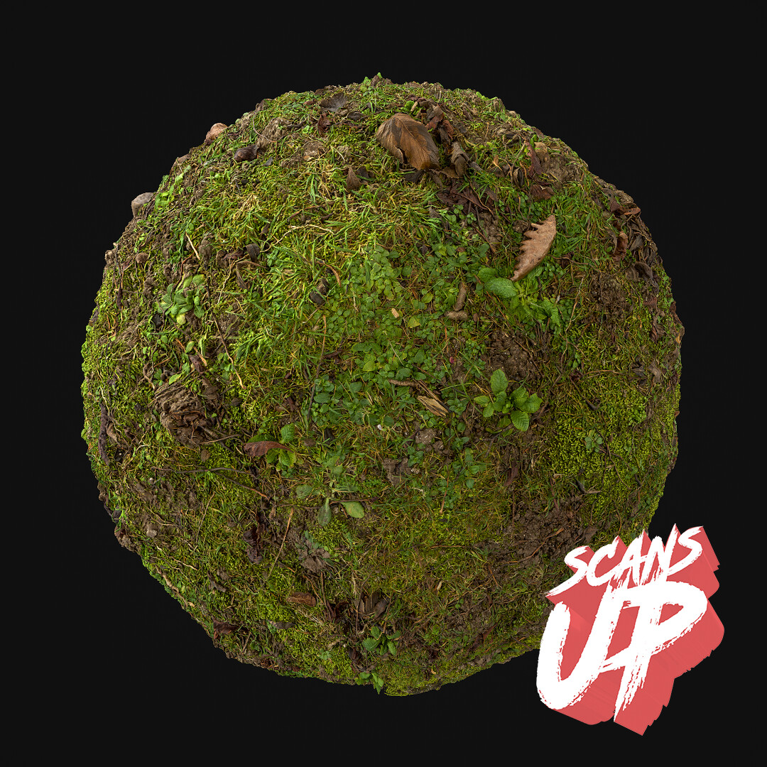 ArtStation - Mossy Dirt Photogrammetry