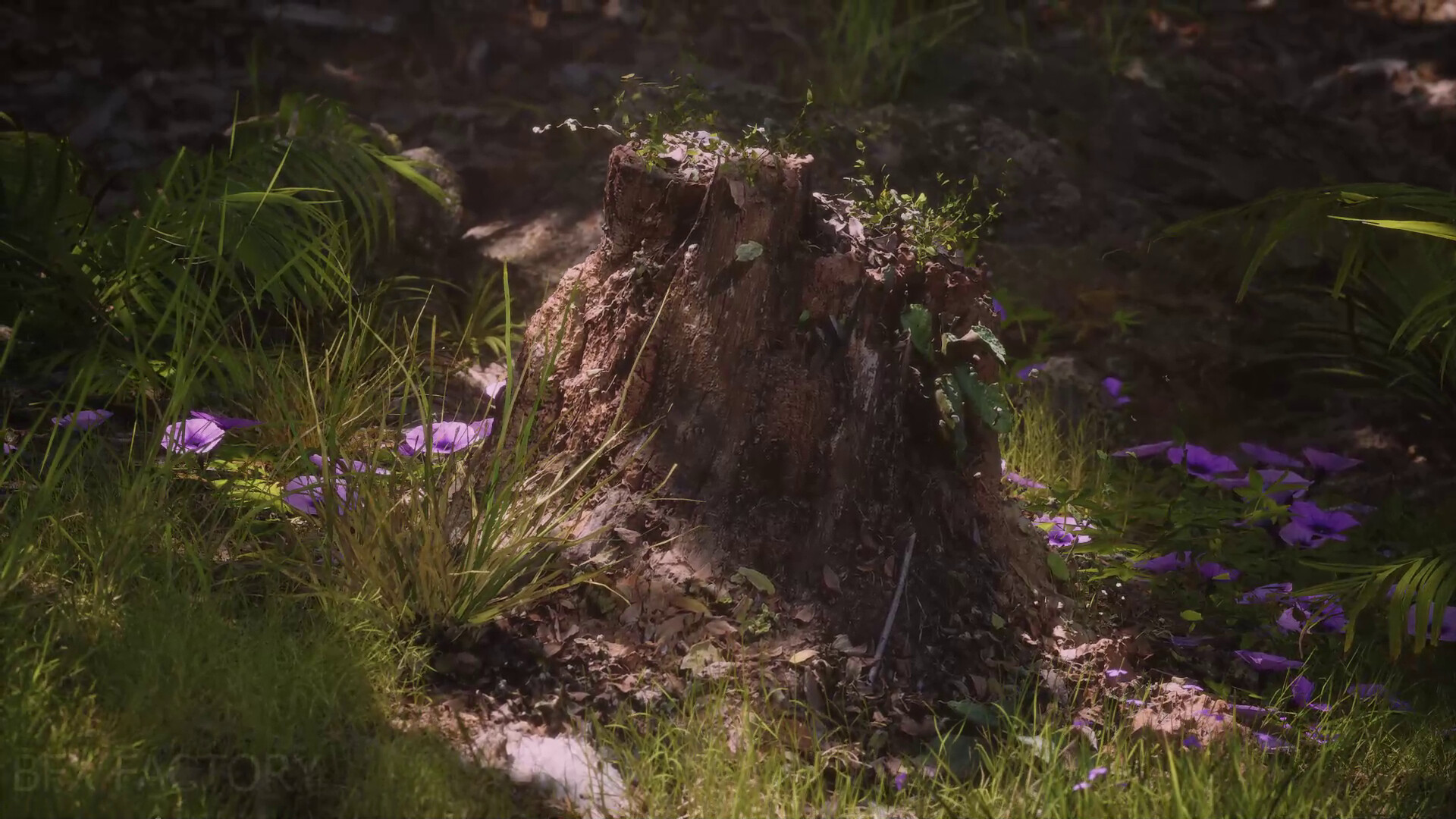 ArtStation - Cutted Tree created using Reality scan & Unreal Engine 5