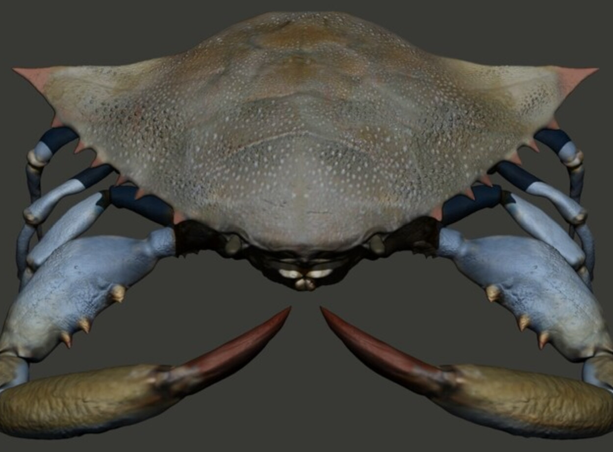 ArtStation - Blue Crab (3D Model)