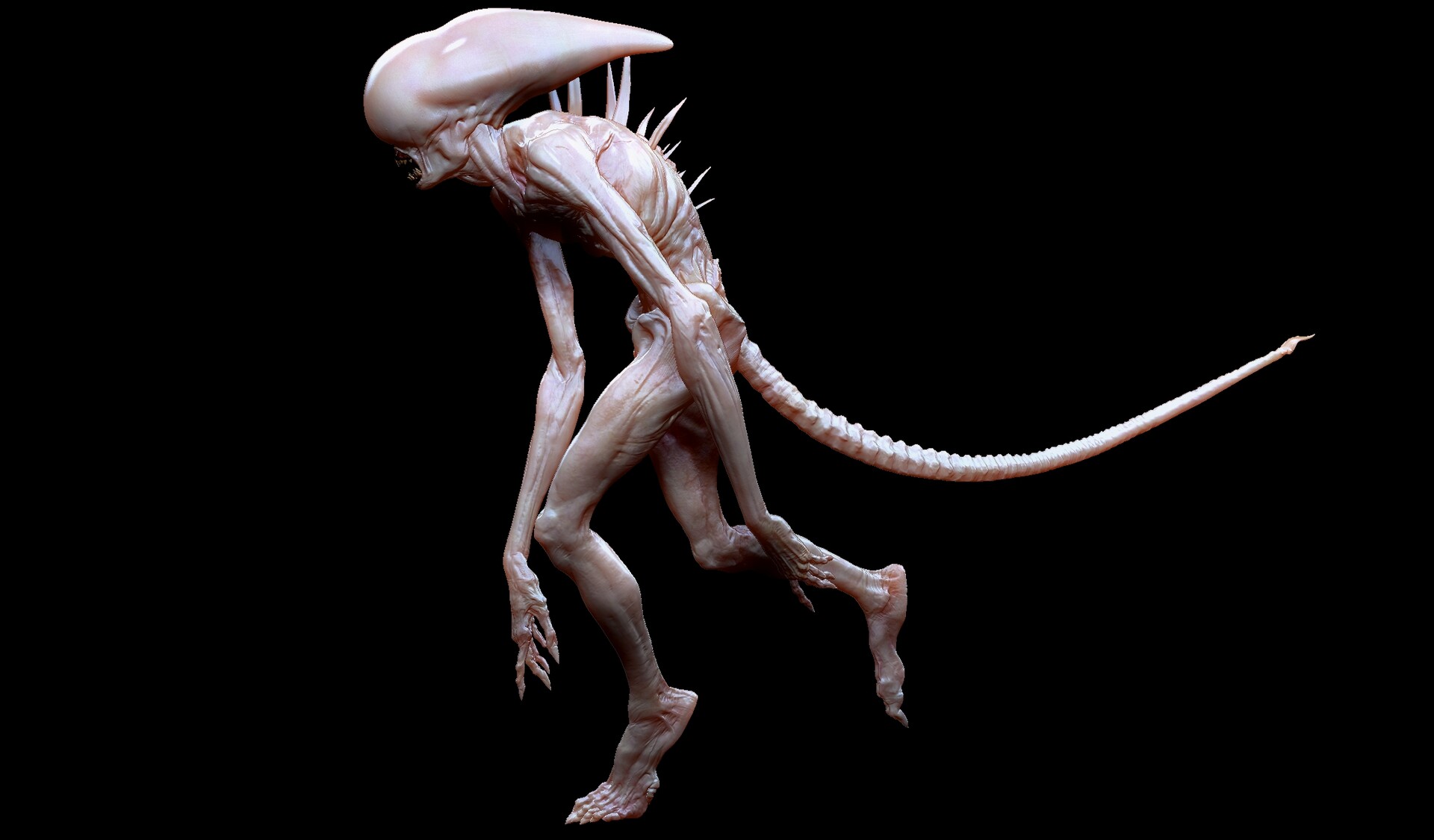 ArtStation - Creature sketch - Neomorph
