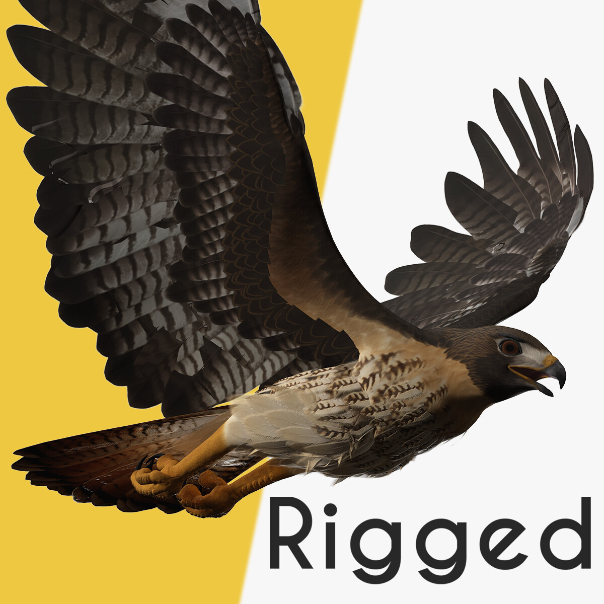 ArtStation - Stunning 3D Model of a Majestic Falcon Wildlife Enthusiasts