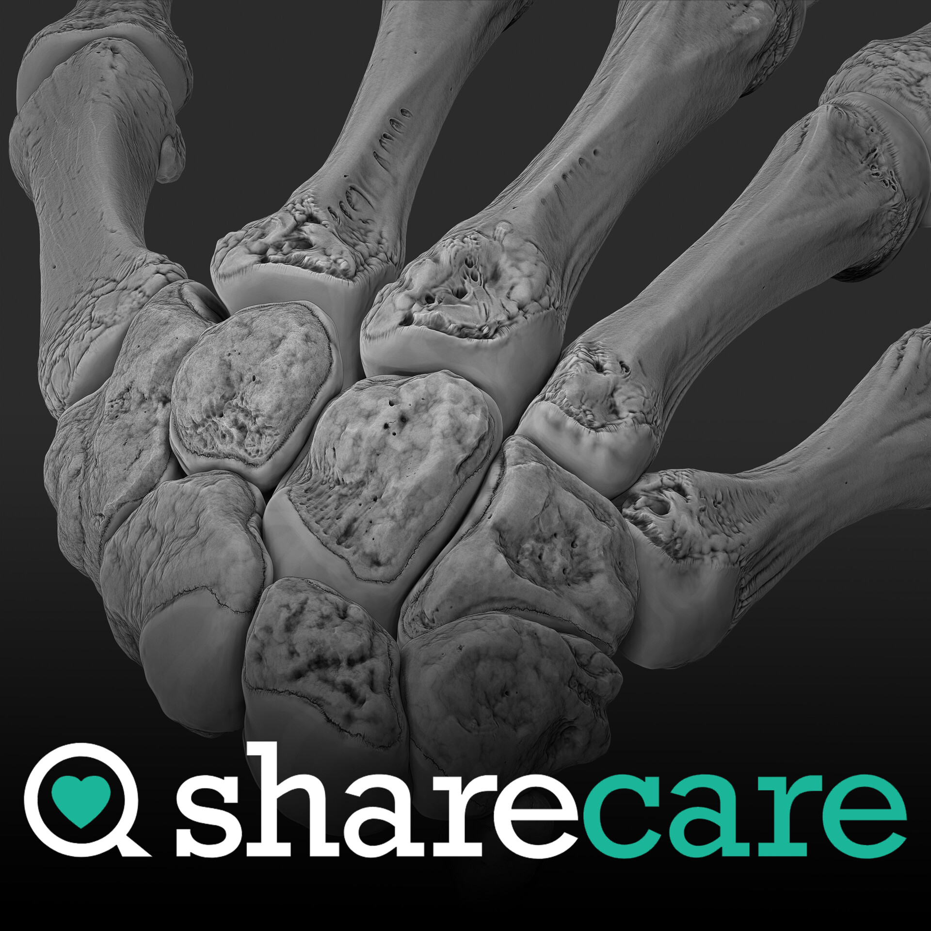 ArtStation - Sharecare You - Skeleton Hand Sculpt