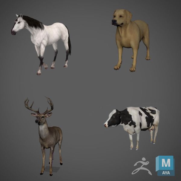 ArtStation - Animals Animation
