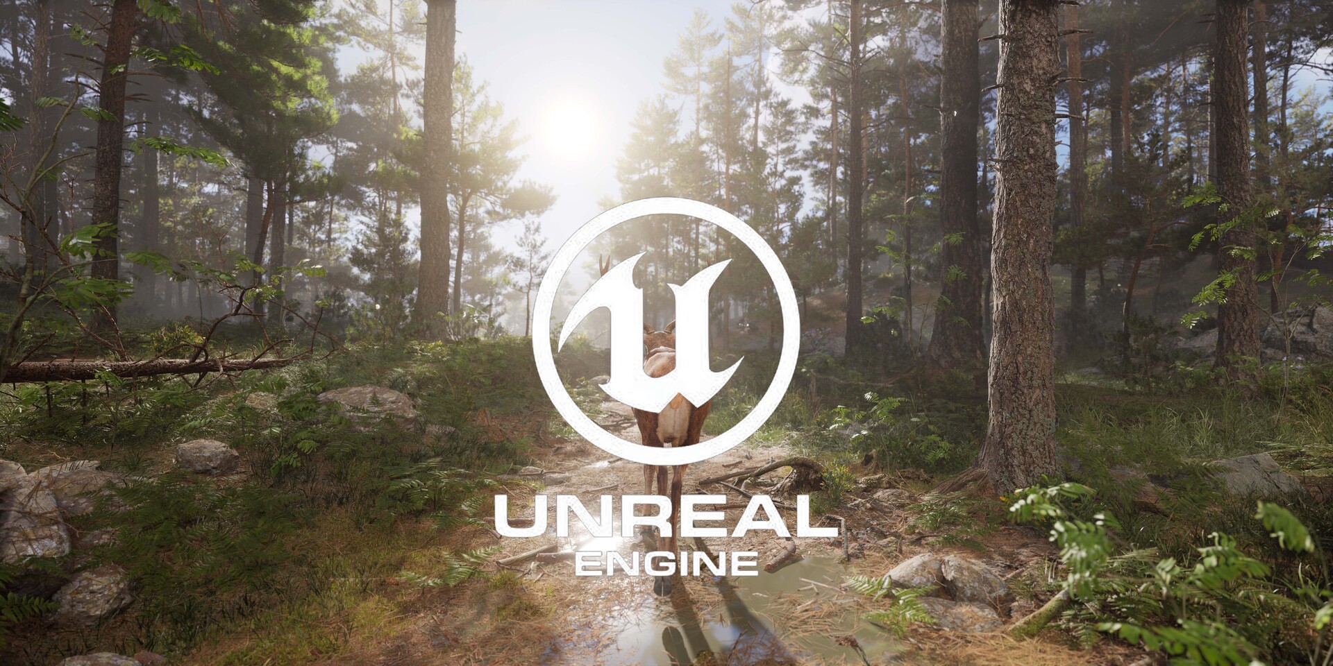 ArtStation - UE5 Forest02