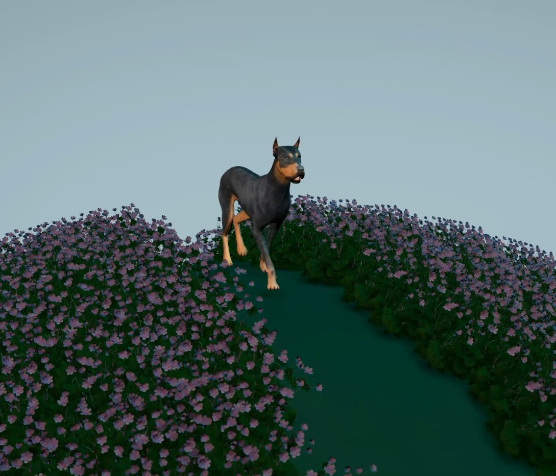 ArtStation - Dog Animation Exercise