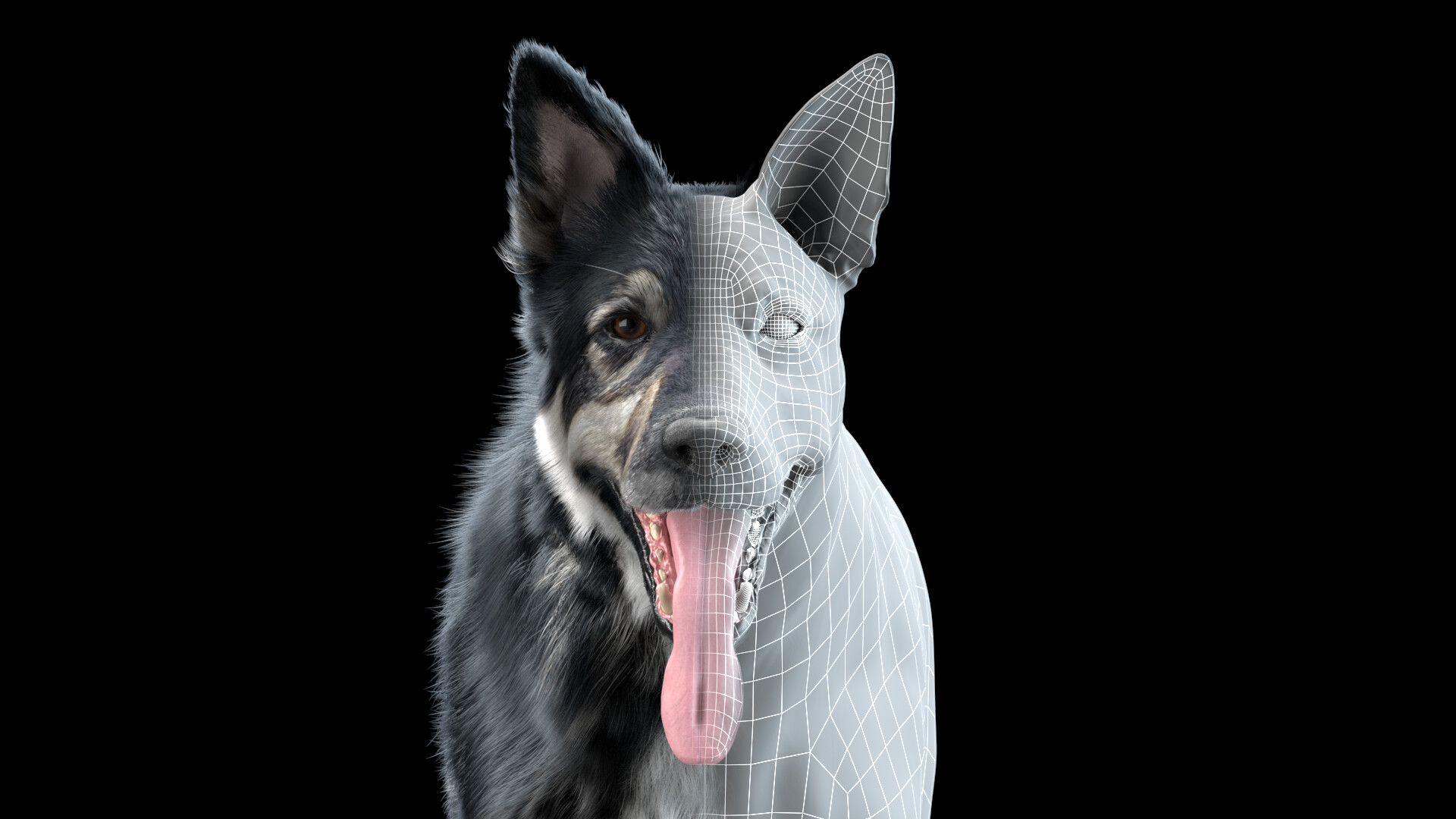 ArtStation - CG DOG BREAKDOWN (2022)