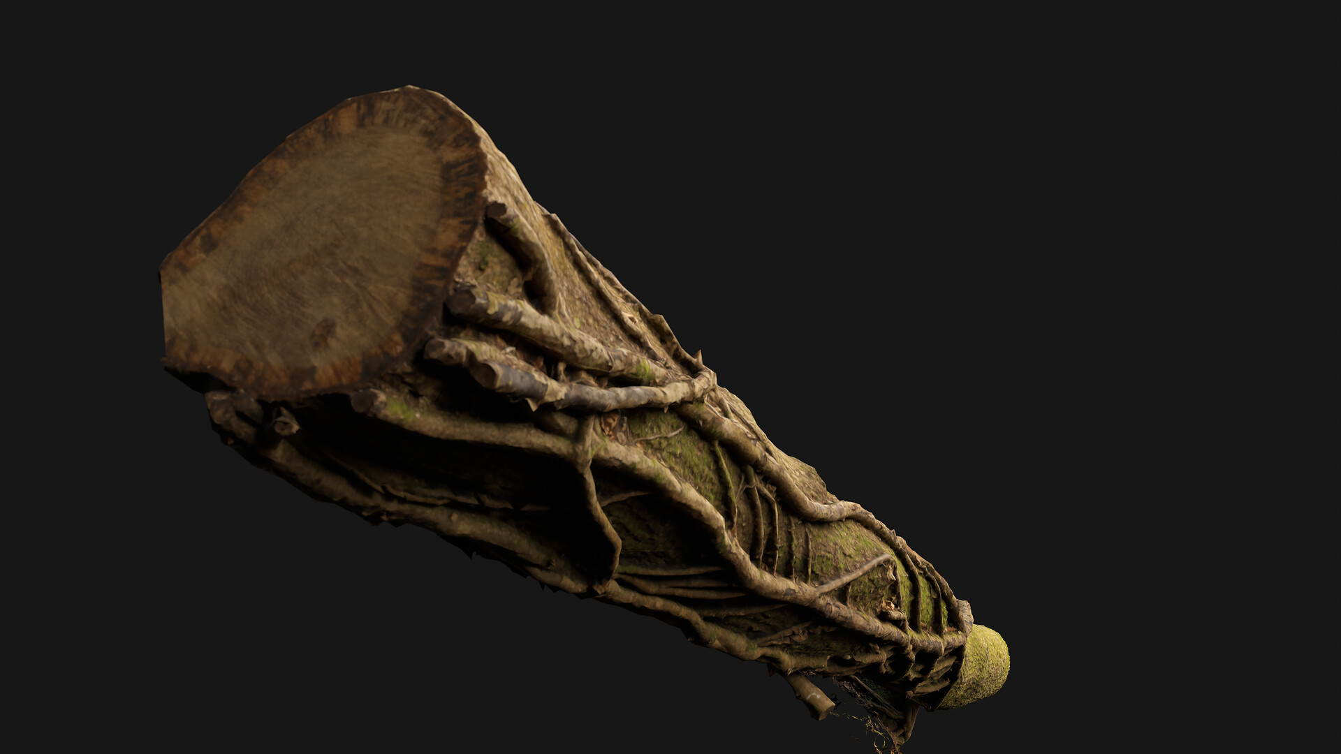 ArtStation - Fallen tree Photogrammetry