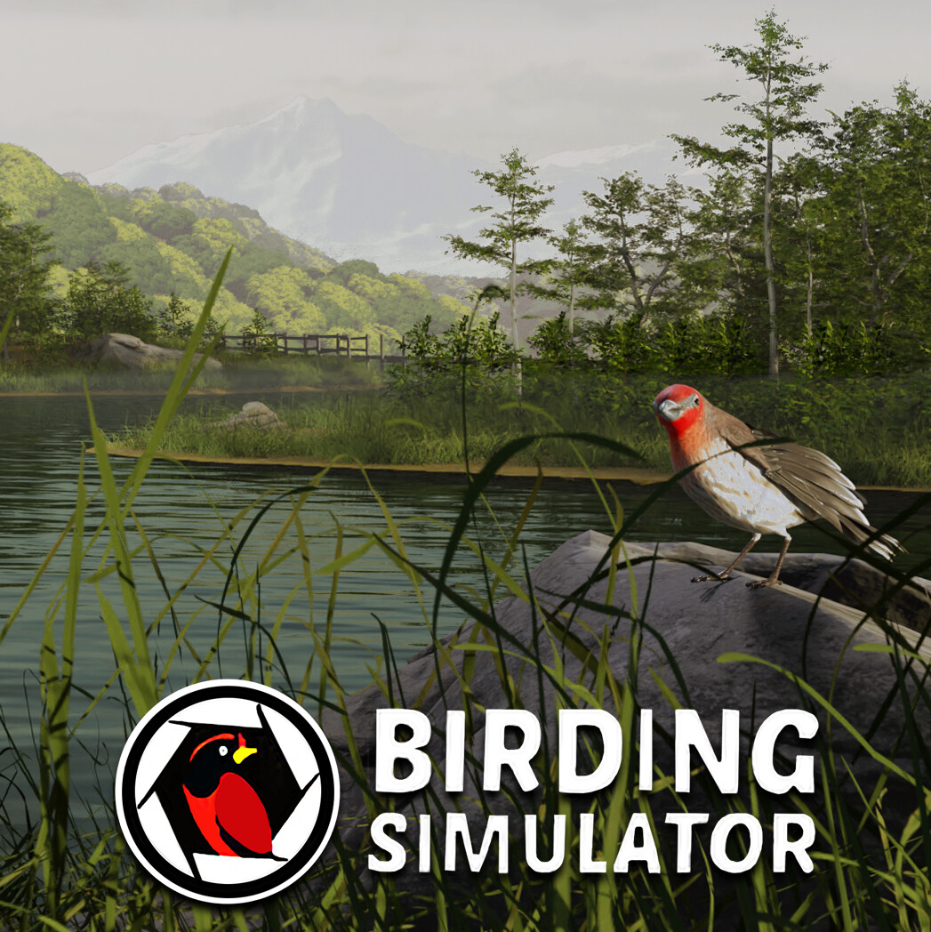 ArtStation - Birding Simulator: Bird Photographer - Intro