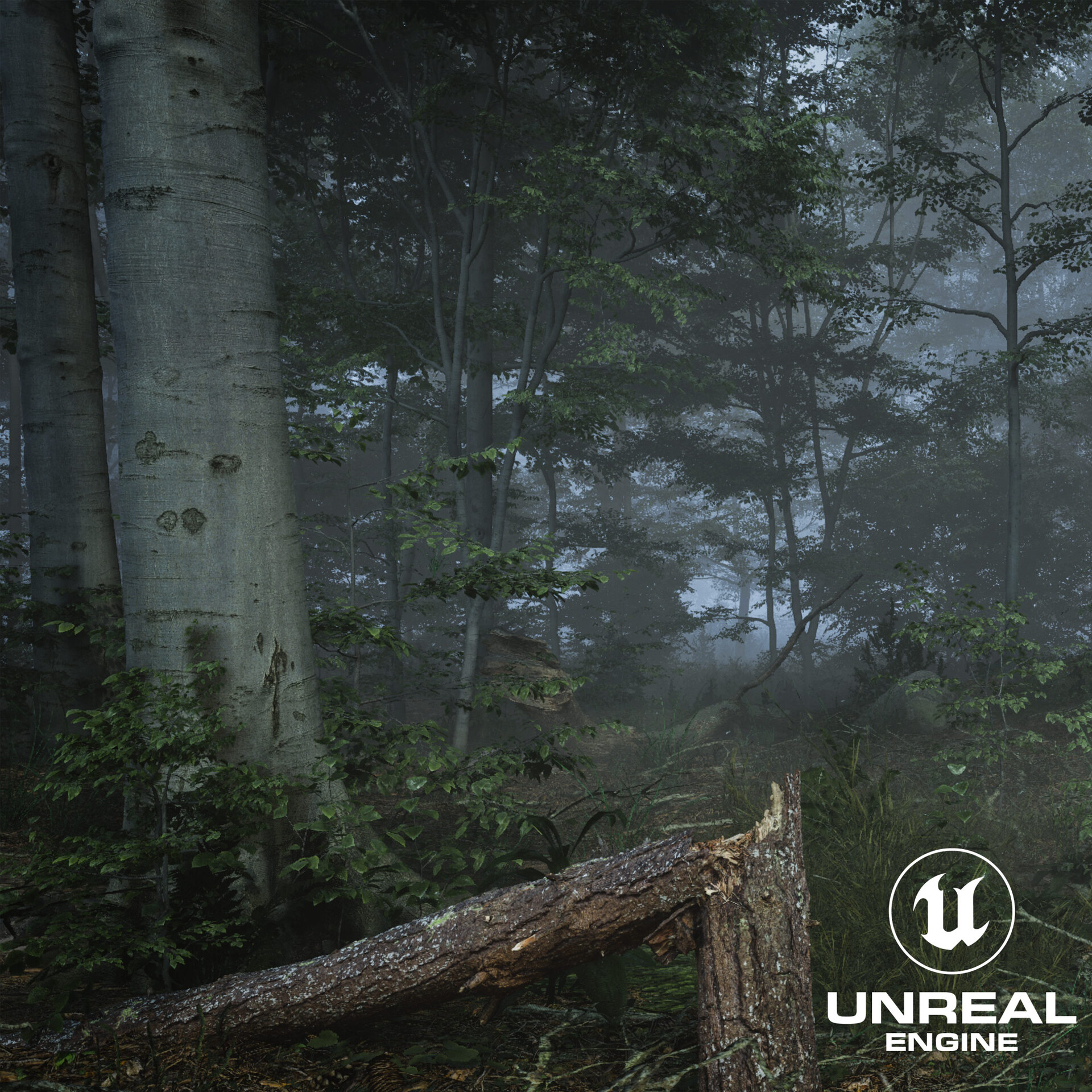 ArtStation - New Quixel European Beech Trees Unreal Engine 5 Lumen Nanite