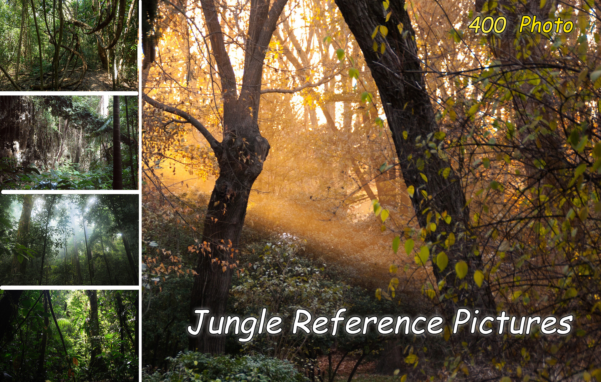 ArtStation - 400 Jungle Reference Pictures