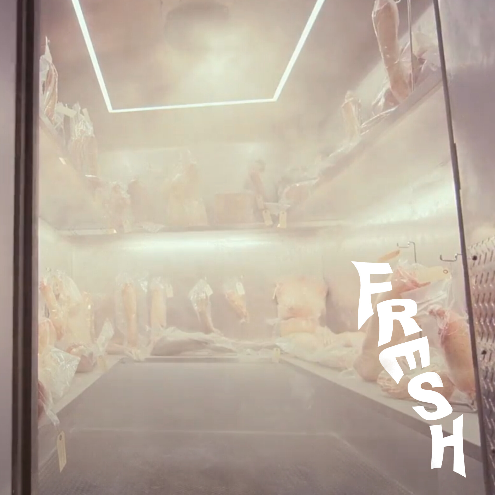 Veronica Lara - Fresh (2022) | The freezer