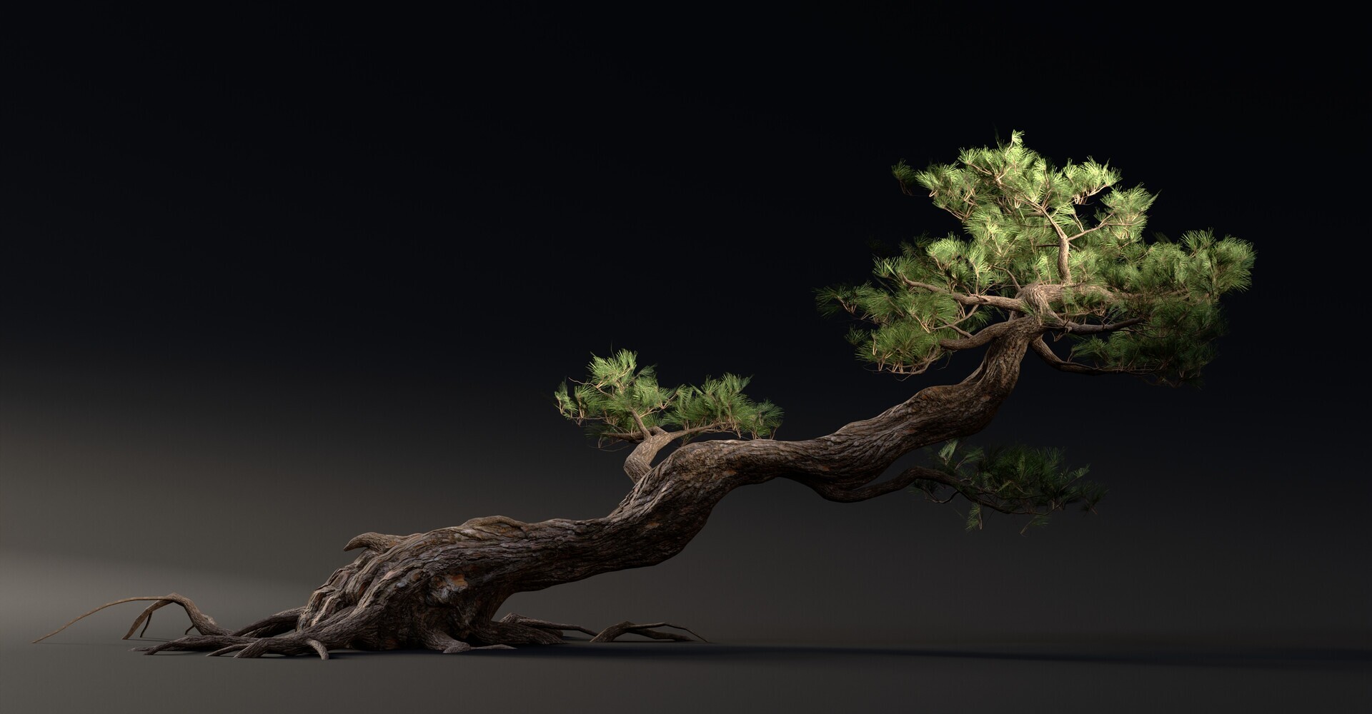 ArtStation - Tree Practice
