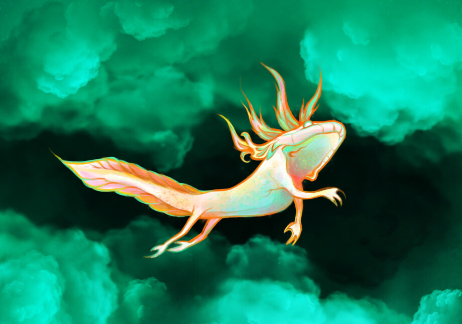 ArtStation - axolotl