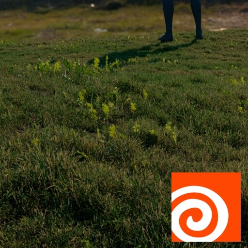 ArtStation - Houdini Grass Field Experimentation