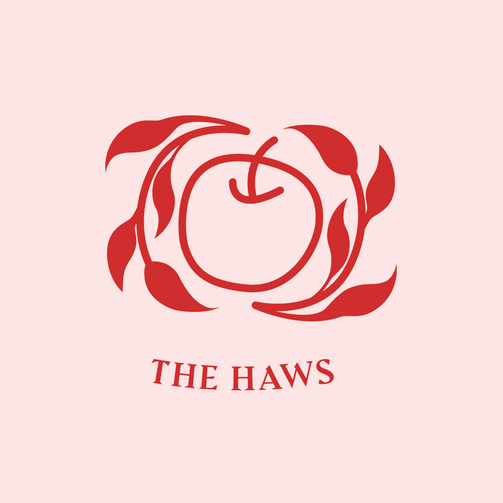 ArtStation - THE HAWS