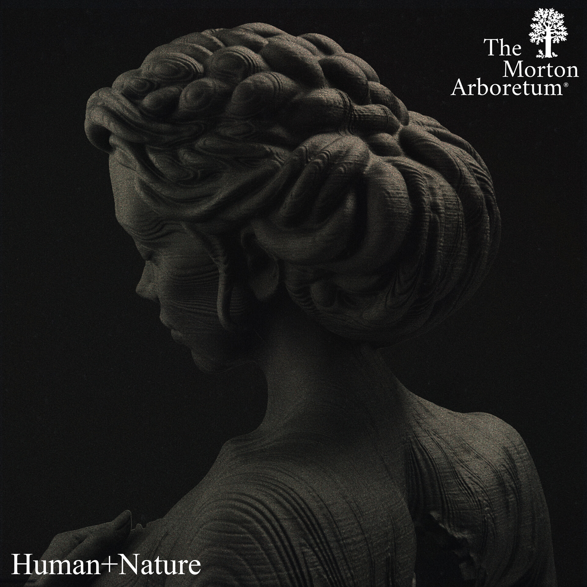 ArtStation - Hallow - "Human+Nature" The Morton Arboretum