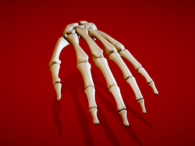 ArtStation - Human hand bones - animated poses