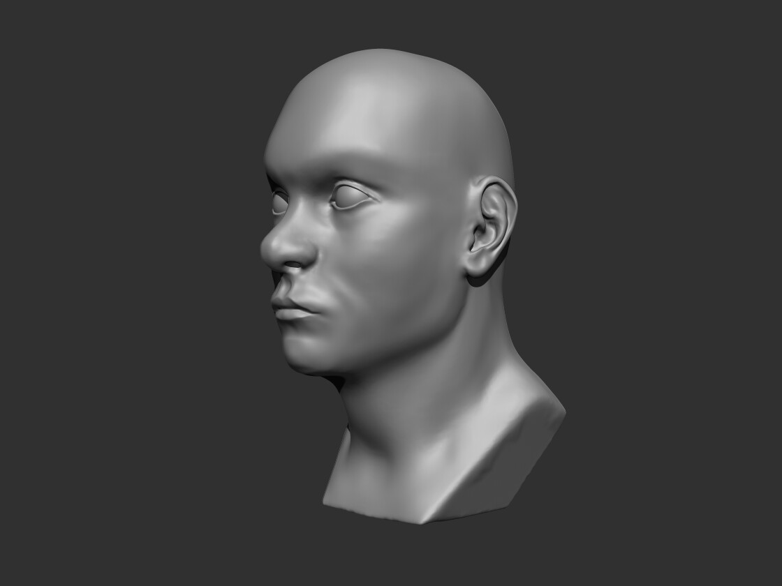 ArtStation - Face/Head Studies Collection