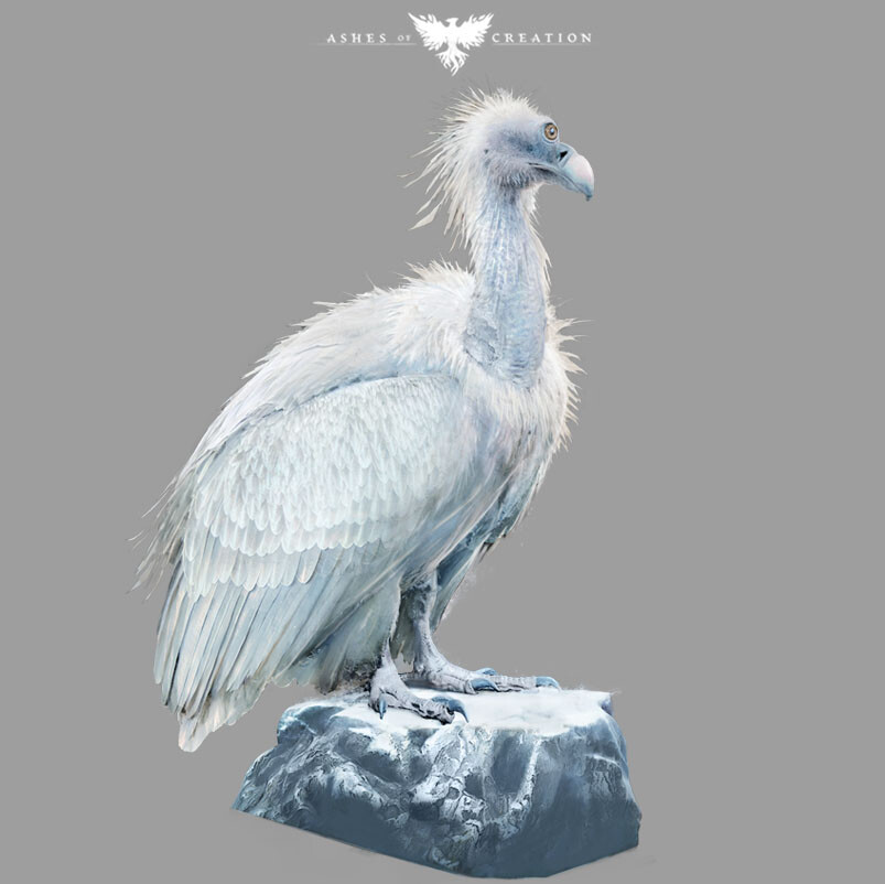 ArtStation - Pinfeather Aviator