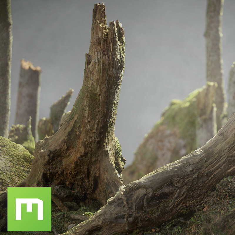 ArtStation - Megascans Nordic Forest assets