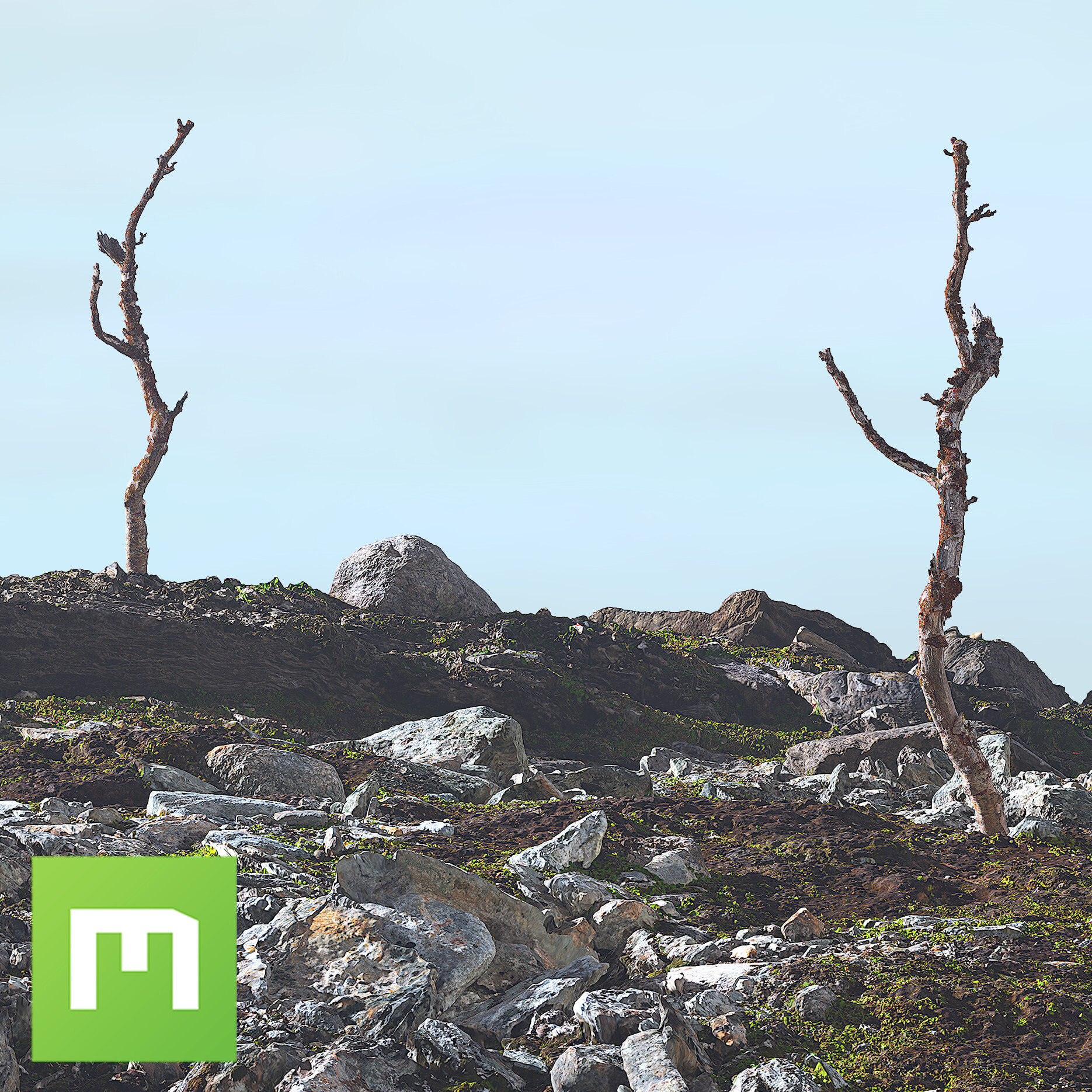 ArtStation - Megascans 3D Assets - Tundra Biome