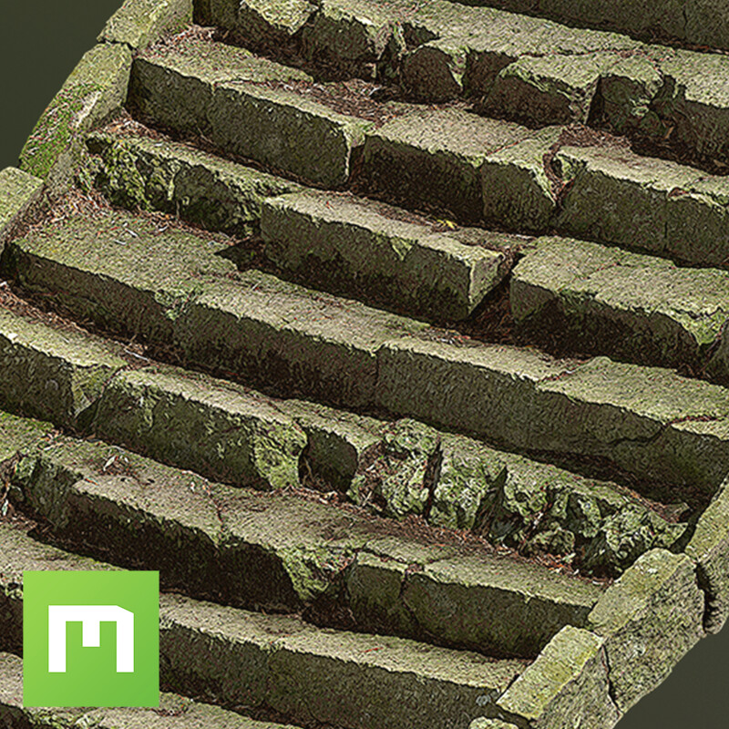 ArtStation - Megascans 3D Assets - Japan