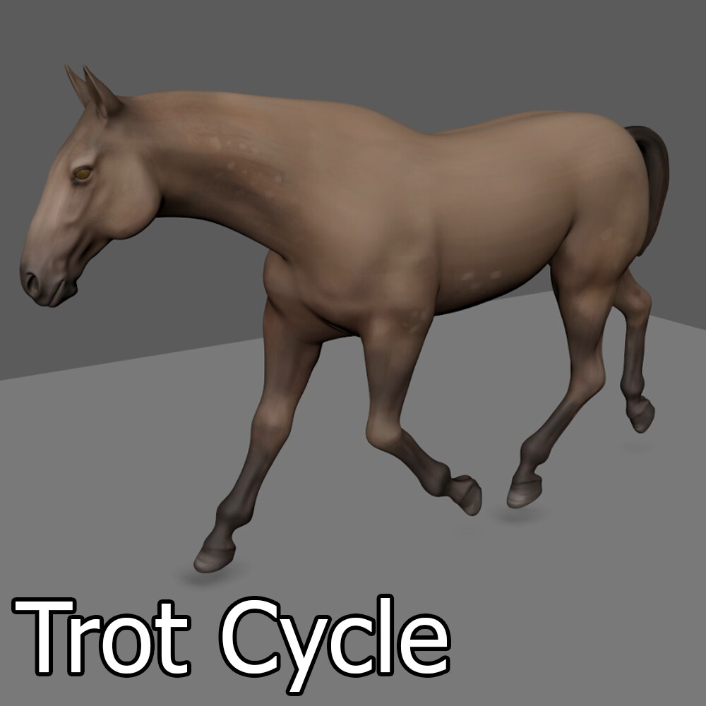 Horse Trot Cycle