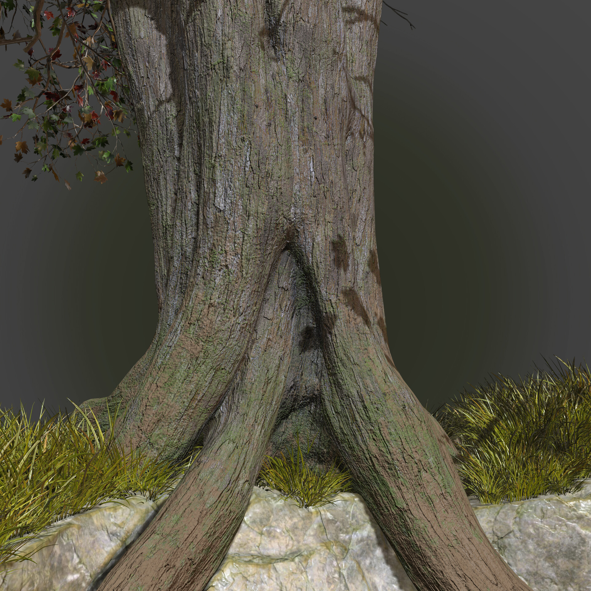 ArtStation - Maple Tree Bark - Substance Study