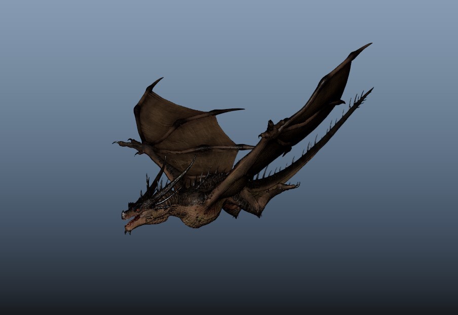 ArtStation - Animation "Dragon Flight Cycle".
