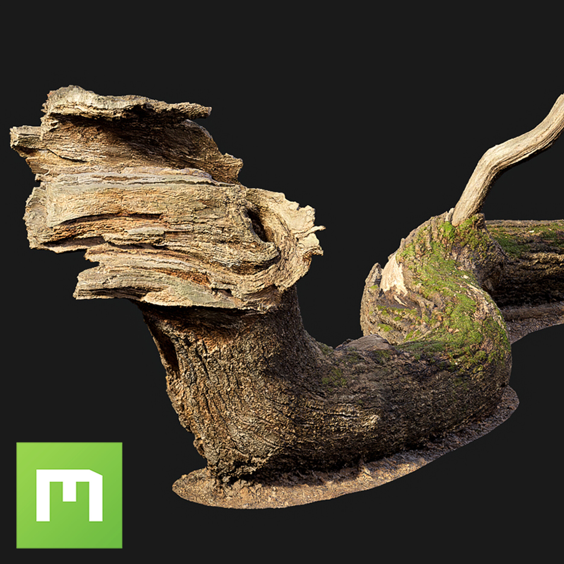 ArtStation - Megascans 3D Assets - Dead Trees